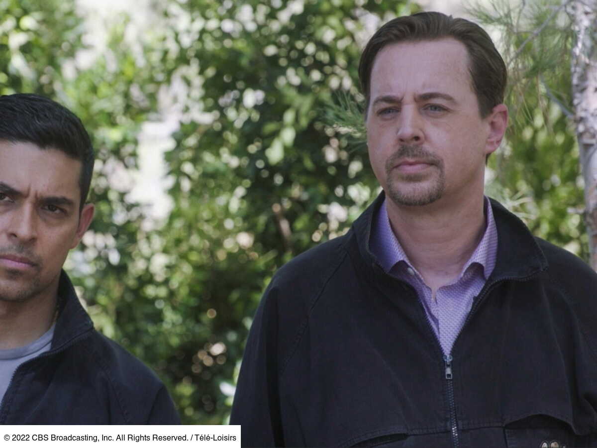 NCIS : Sean Murray (McGee) annonce le retour d'un ancien personnage ...