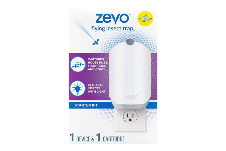 How this $20 fly trap transformed my bug-free kitchen