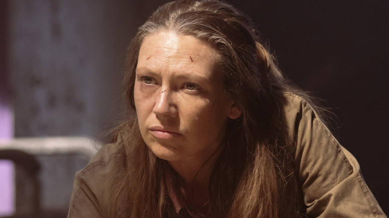 Don't Worry Last Of Us Fans, Scientists Promise That Cordyceps ...