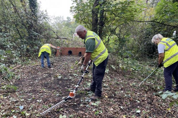Celebrating the good news for a common but dismayed at nature reserve news