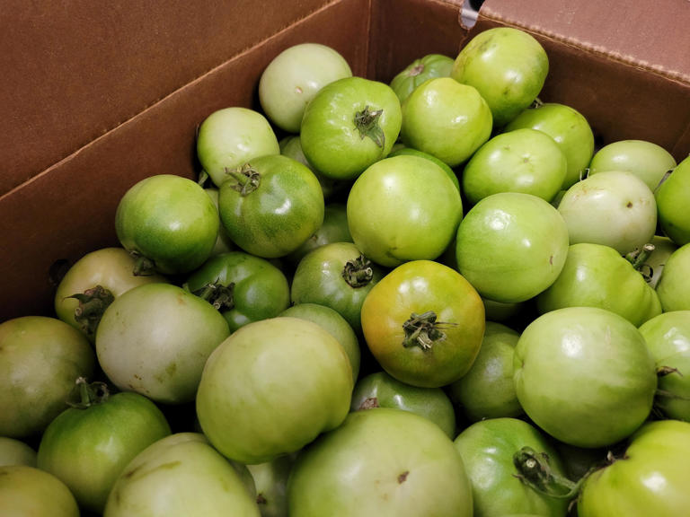 Lubbock-area farmers, growers tout benefits of eating local, feeding ...