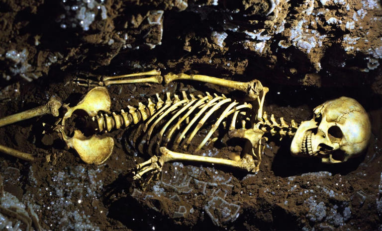 Scientists Extract DNA From 4,500-Year-Old Skeleton Reveals a Genetic ...