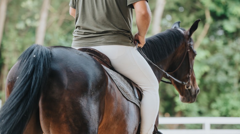The Basic Gear You Need To Start Horseback Riding