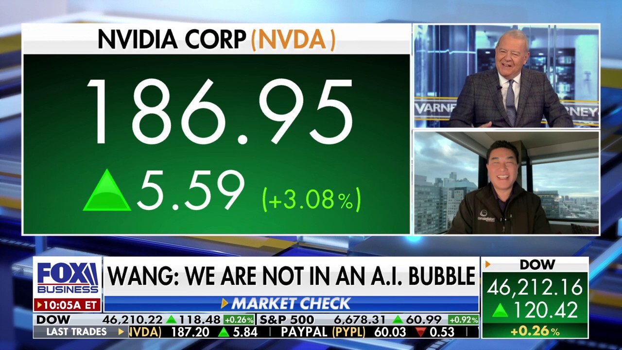AI 'poster child' Nvidia 'not a bubble': Expert quiets investor fears