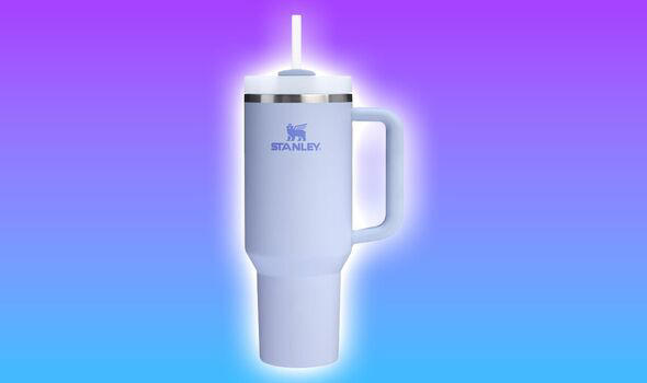 An early Black Friday deal you can't miss: the viral Stanley cup is 50% ...