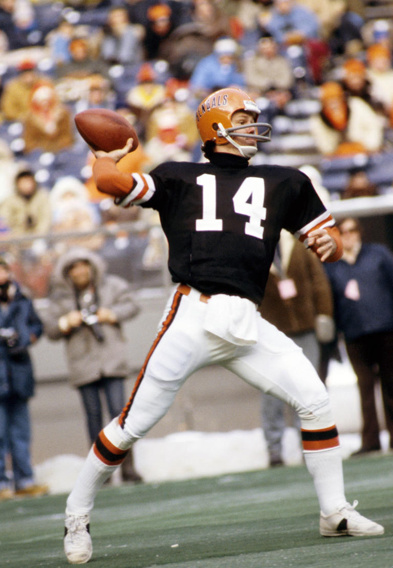 Ken Anderson, L.C. Greenwood among among 9 Pro Football Hall of Fame senior semifinalists