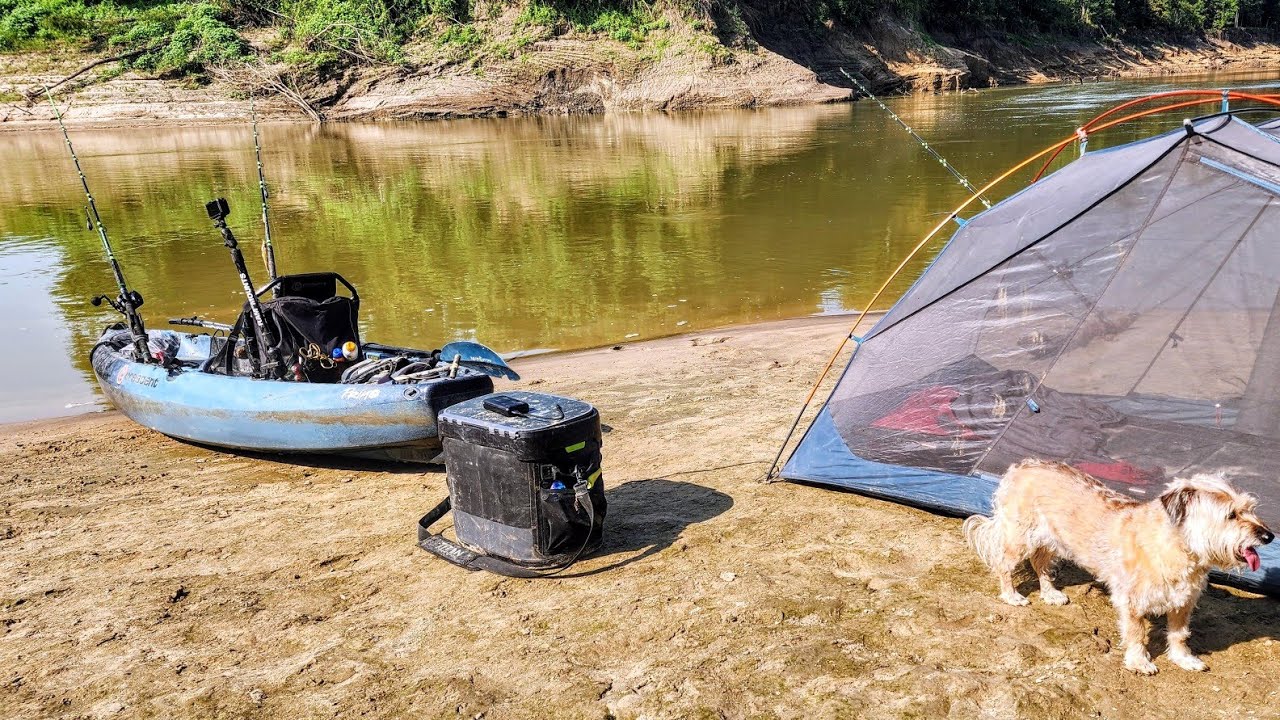 Catching monster fish while sandbar camping