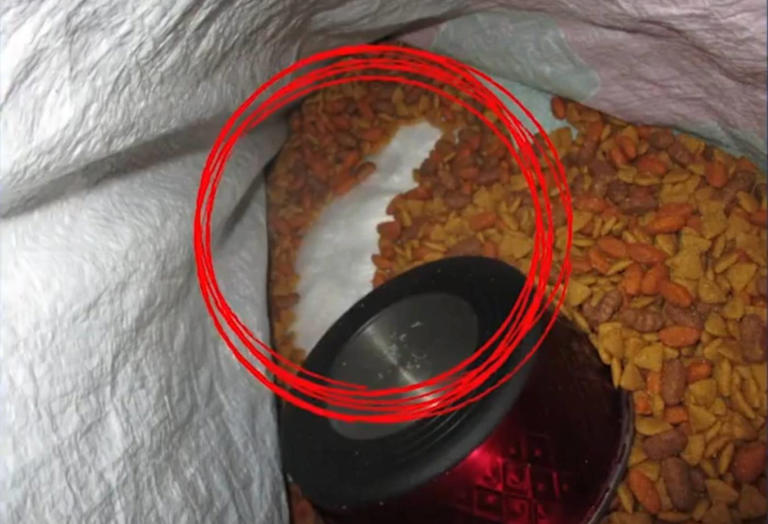 CBP Officers at San Ysidro Seize 30 Pounds of Meth Concealed in Pet Food
