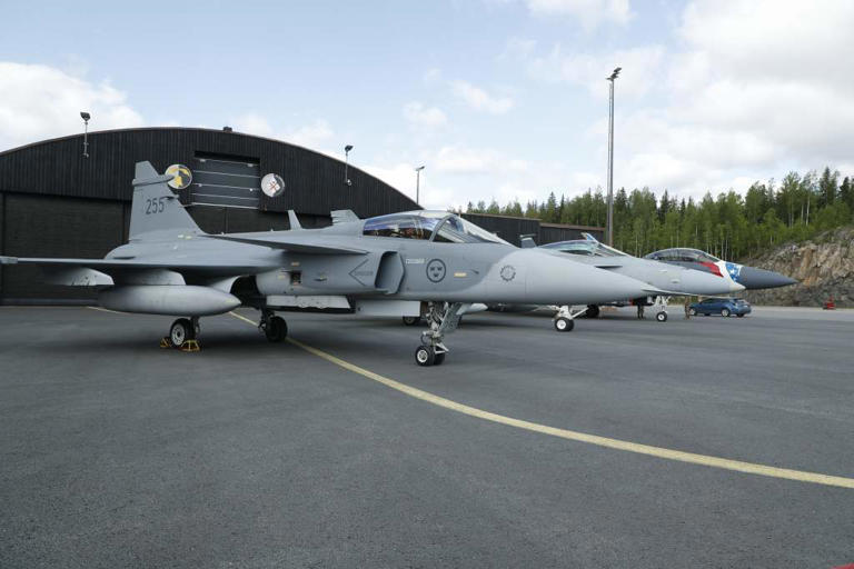 Canada needs ‘more details’ on Swedish Gripen fighter jet deal, Joly says