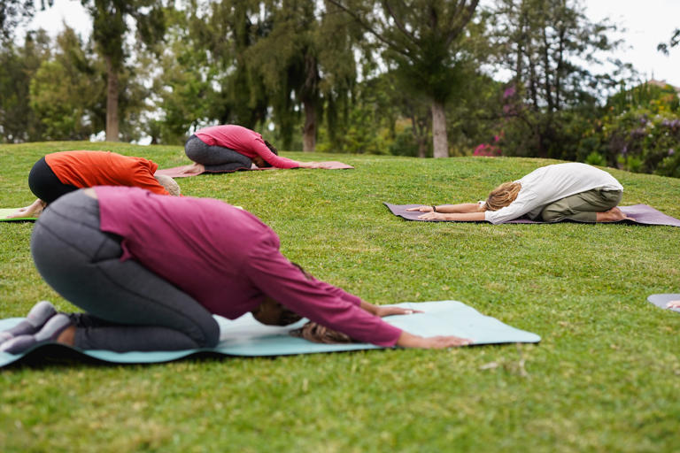 Tres acciones de la Fundación del Dr. Simi que quizá no conocías