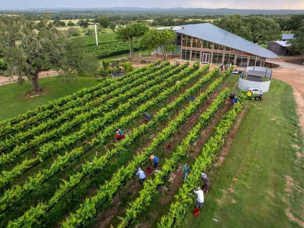 Hill Country winery is region's first on World’s 50 Best Vineyards list