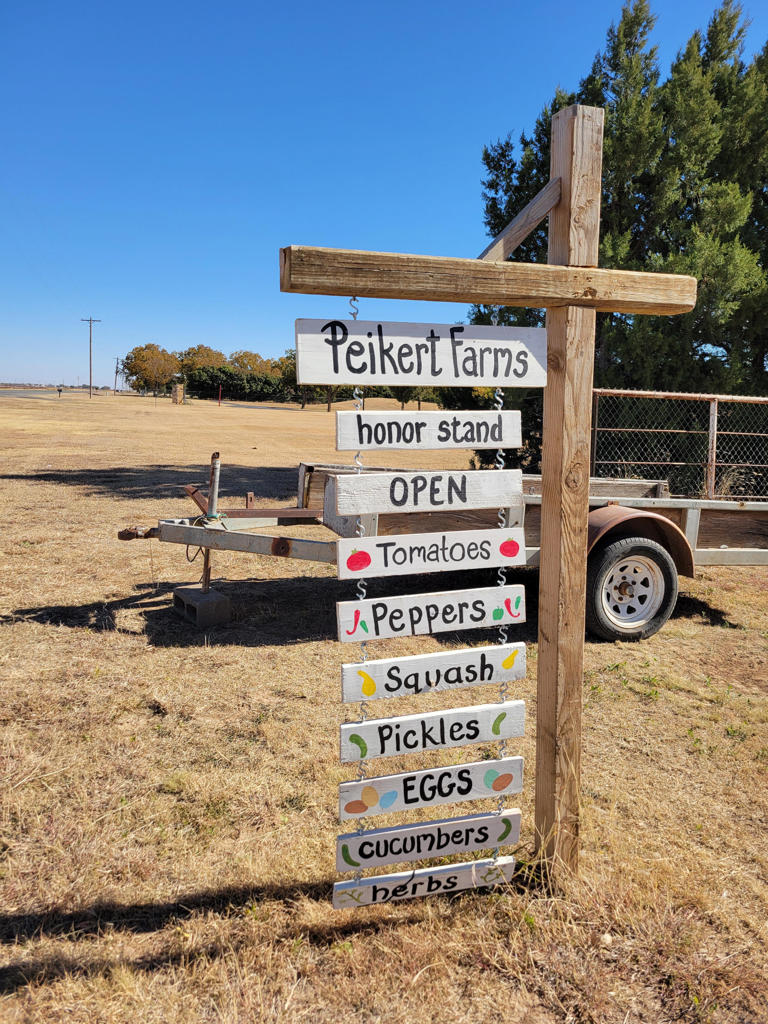 Lubbock-area farmers, growers tout benefits of eating local, feeding ...