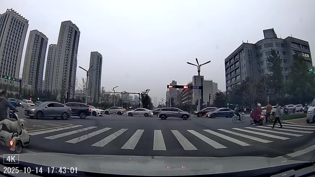 Dog jumps from motorcycle sidecar at traffic light in Shaanxi, China