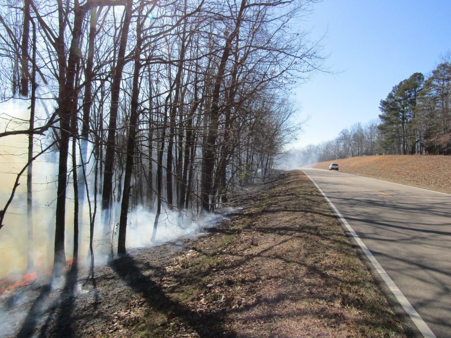 Prescribed fires begin on Natchez Trace in Mississippi
