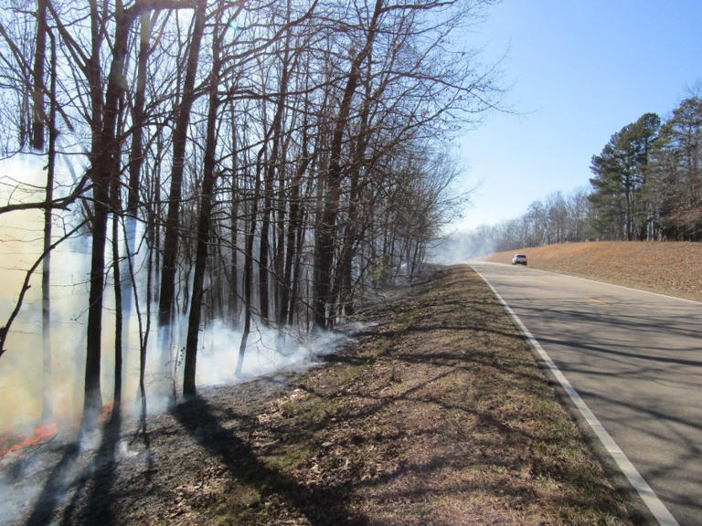 Prescribed fires begin on Natchez Trace in Mississippi