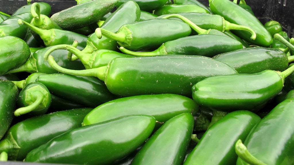 Massive meth smuggling ring that hid drugs in boxes of jalapeños busted ...