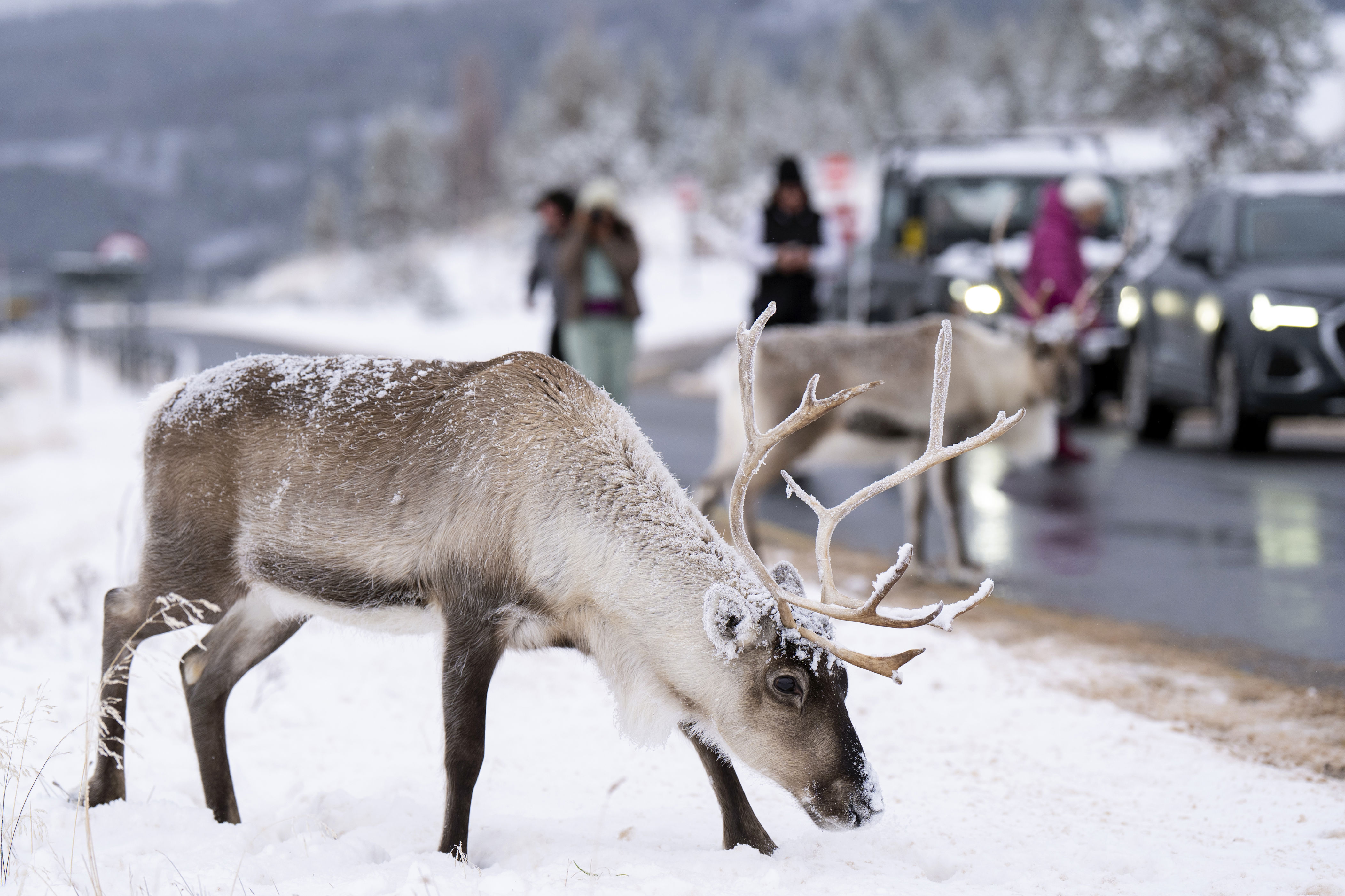 In Pictures: Wintry scenes across the UK as cold snap brings freezing ...