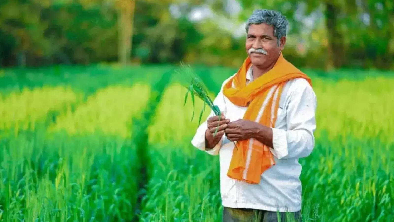 PM Kisan 21st installment today: Eligible farmers receive Rs 2,000; how ...