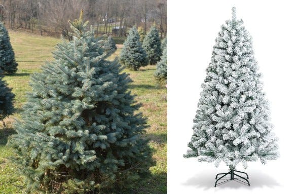 Do York County residents prefer real or artificial Christmas trees ...