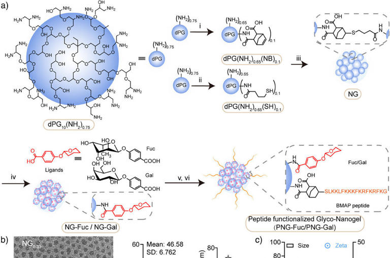 New nanogel technology destroys drug-resistant bacteria in hours
