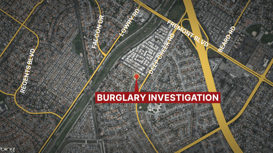 Homeowner catches jewelry thieves fleeing from backyard