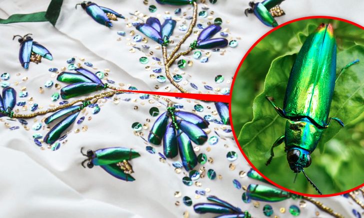 12 Crazy Fashion Beliefs From the Past People Took Way Too Seriously