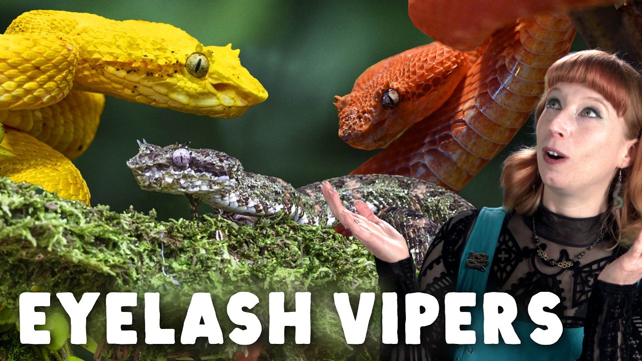 We thought these snakes were all the same