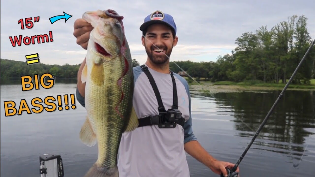 Fifteen-inch worm catches big bass on new rod