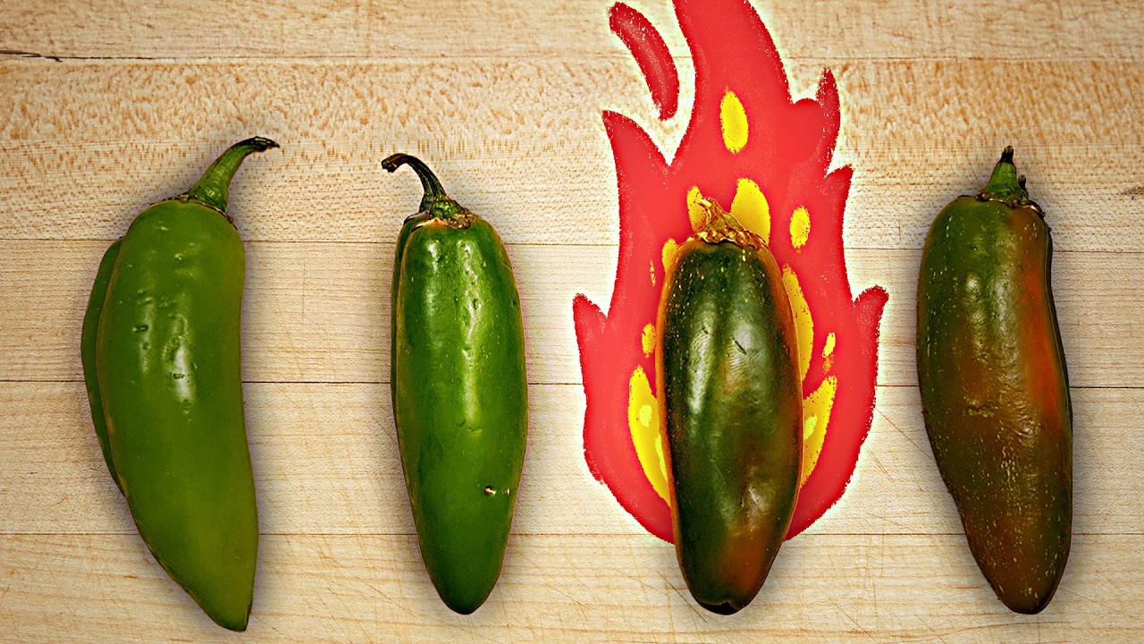 Can you guess how spicy a jalapeño is? The science behind chili heat!