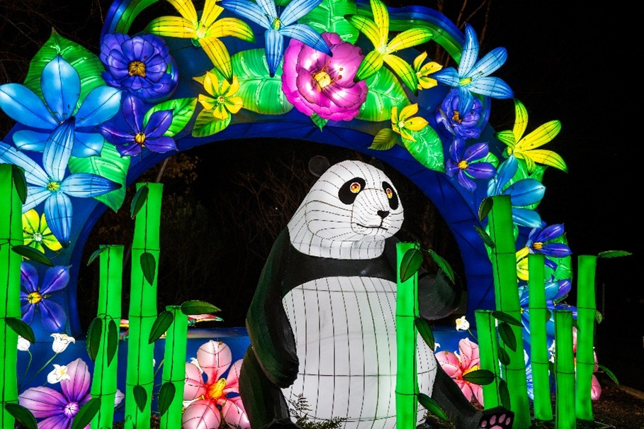 17 must-see holiday light displays for a magical winter in the DMV area