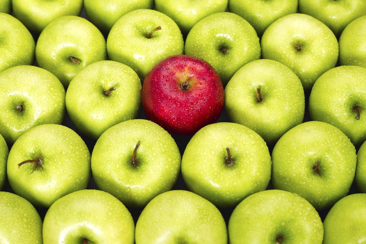 The Perfect Partnership: 7 Steps for Picking a Financial Advisor