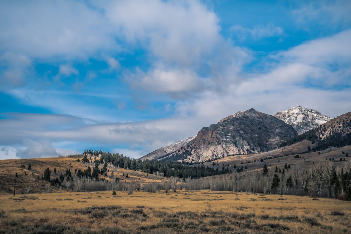 8 Regions in Idaho Known for Backcountry Big Game Hunting