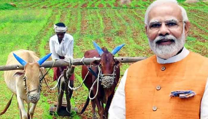 PM Kisan 22nd Instalment: When To Expect Next Rs 2,000 Payment; How To ...