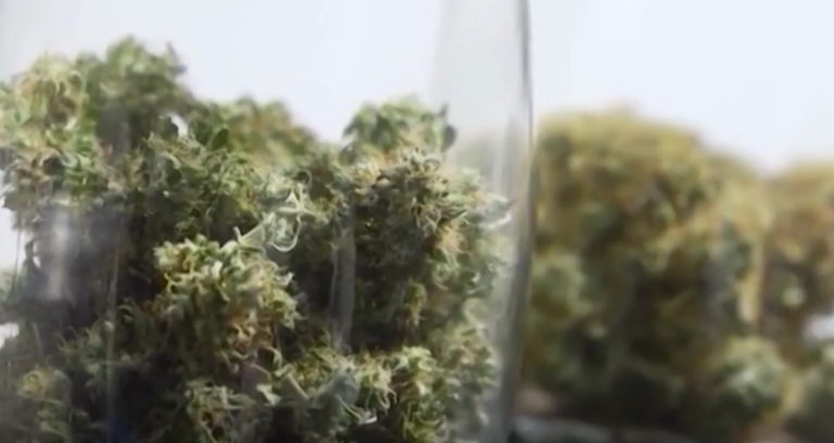 Kentucky to end patients bringing medical marijuana from out of state