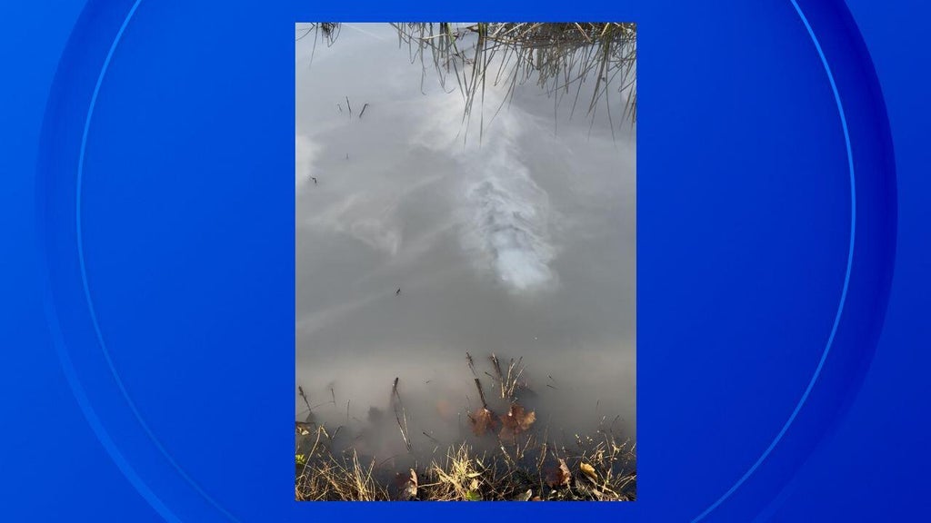 Holly company to pay for clean up of spill into retention pond ...