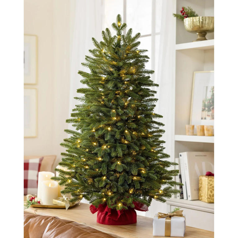 Our Favorite Balsam Hill Christmas Trees of 2025