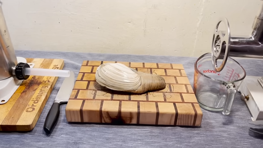 What is geoduck sausage? A taste you won’t forget