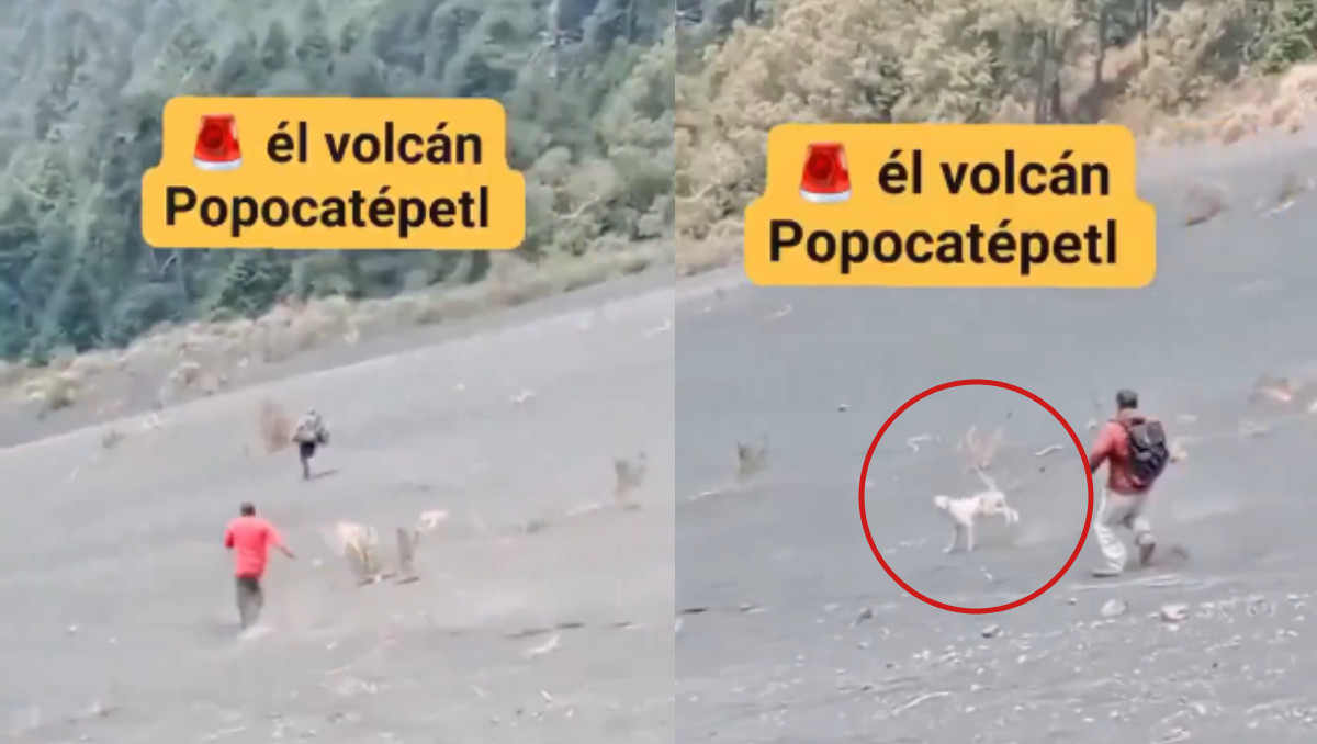 Hombres y perrito huyen al escuchar estruendo del volcán Popocatépetl ...