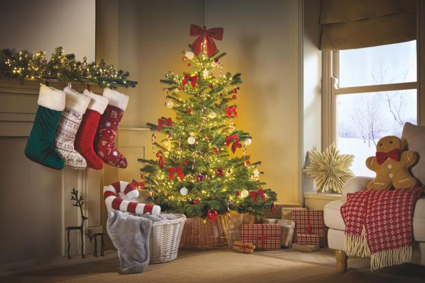 Cheapest Christmas trees revealed: Aldi, Tesco and Home Bargains trees ...