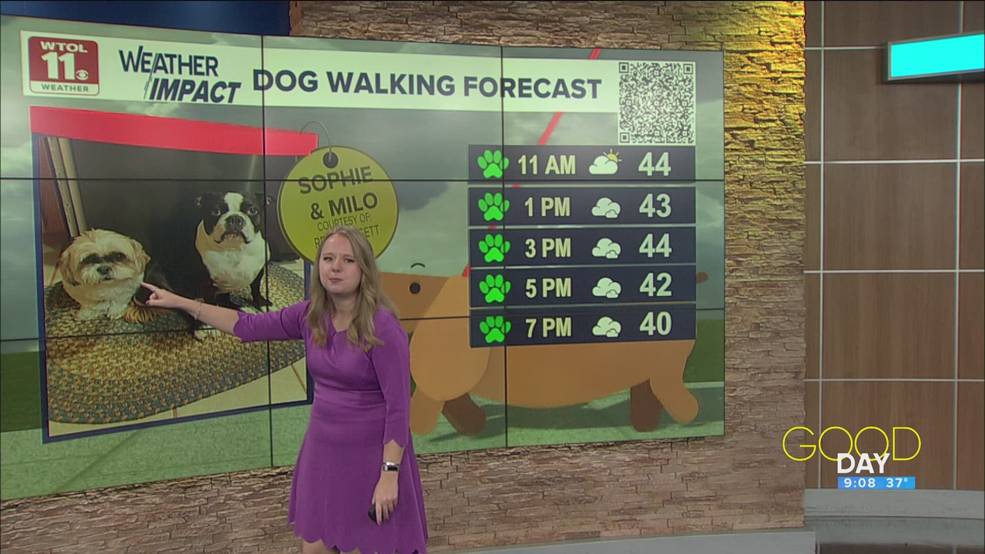 Cloudy but dry and mild Wednesday for a 'green paw' dog walking ...