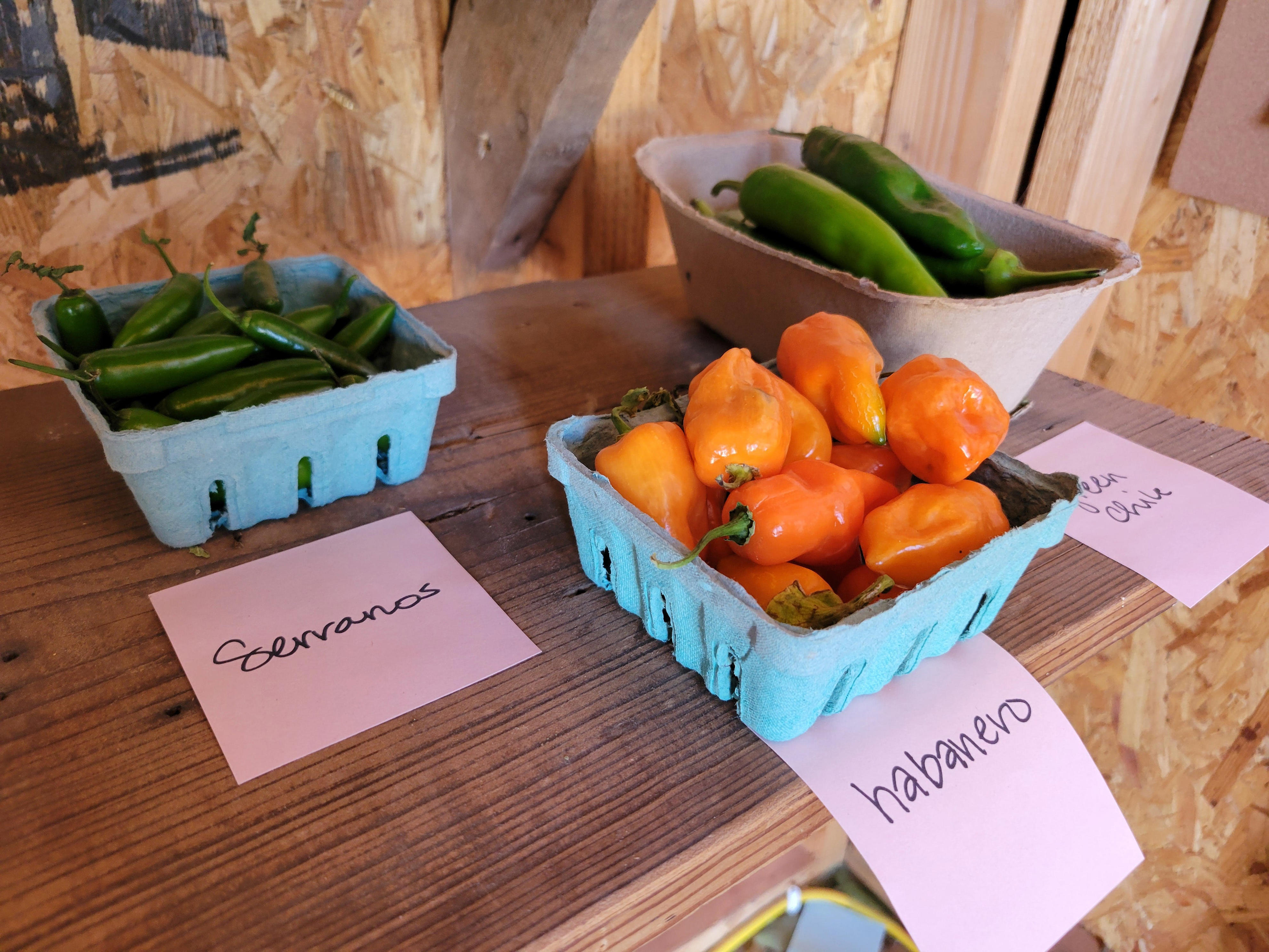 Lubbock-area farmers, growers tout benefits of eating local, feeding ...