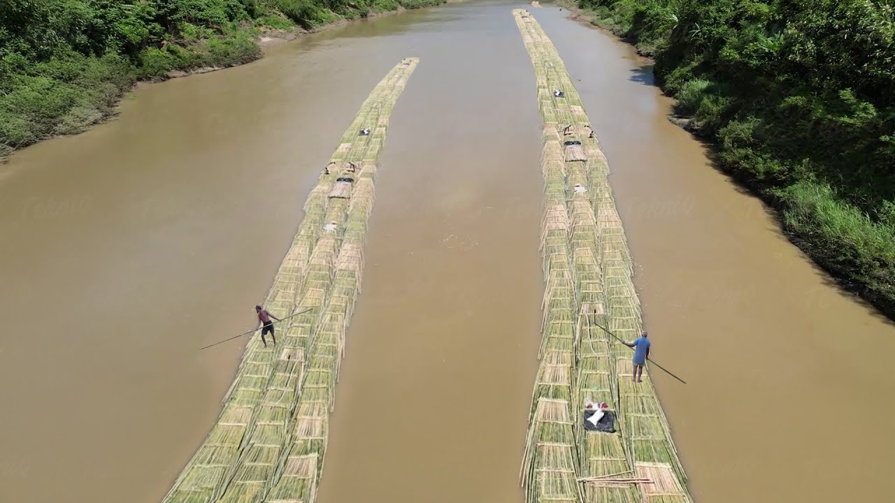 Genius Technique to Transport Millions of Bamboo Sticks on Engineless Raft