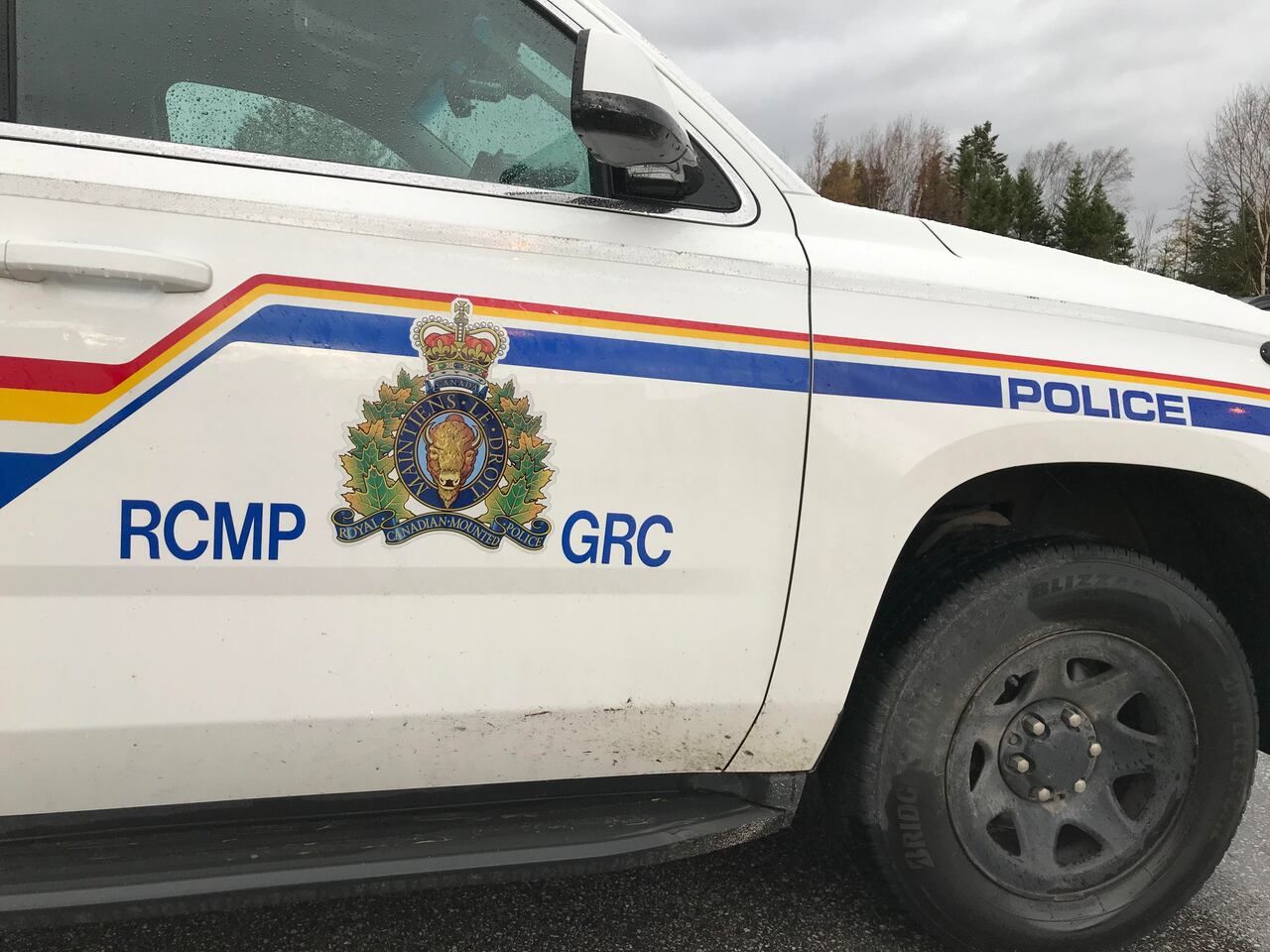 34-year-old woman dies in highway moose collision near Gander