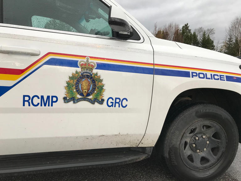 34-year-old woman dies in highway moose collision near Gander