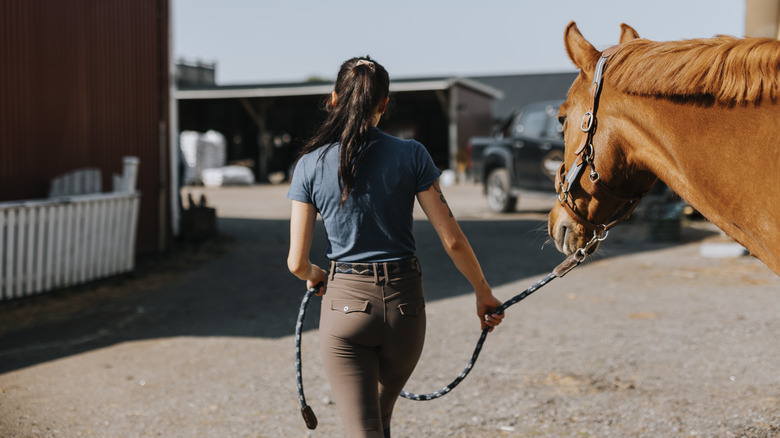 The Basic Gear You Need To Start Horseback Riding