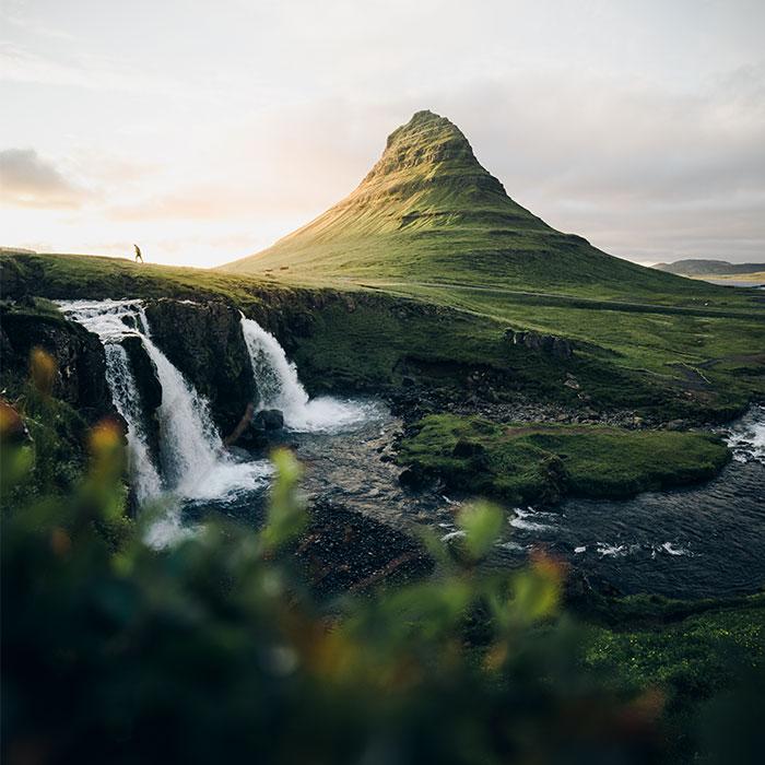 50 Photographs From The Nature 2020 Competition