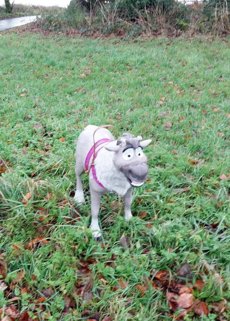 Police called to rescue dog find reindeer Sven from ‘Frozen’ instead