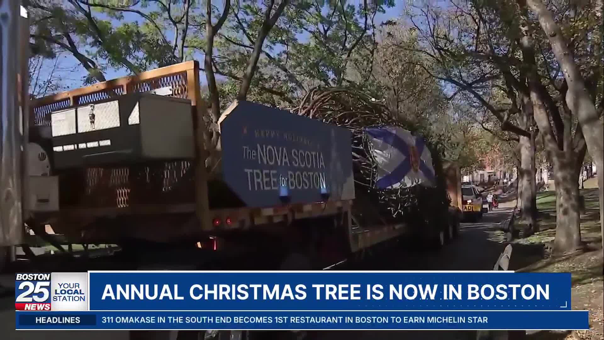 Boston’s official Christmas tree arrives in the city from Nova Scotia