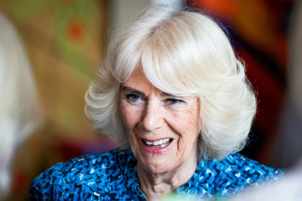 Queen Camilla Stuns Gavin & Stacey Star: 'Masses Of Weight' Remark ...