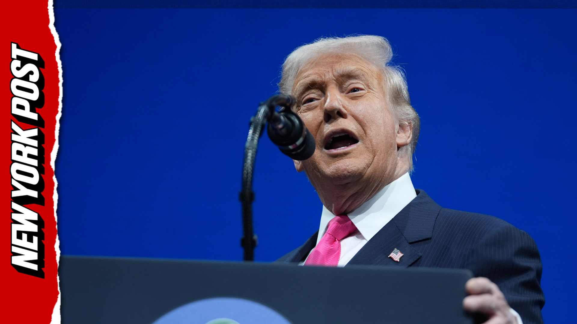 Watch crowd laugh as Trump declares he's 'very modest'